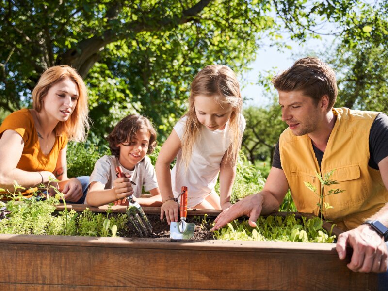 Sow Together, Grow Together – Easy Gardening Tips for Kids - Codsall ...